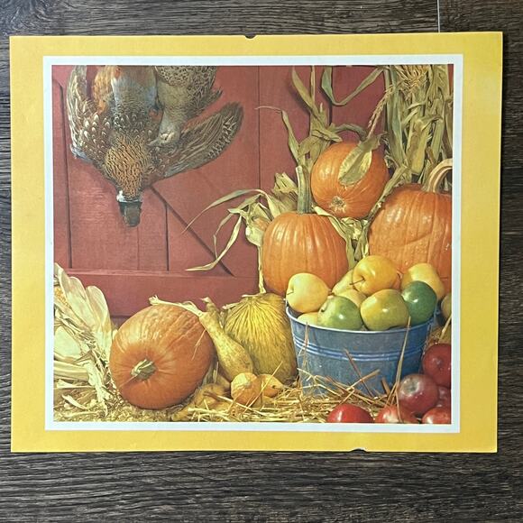 None and/or Unknown | Accents | Retro 97s Kitsch Fall Pumpkin Harvest ...
